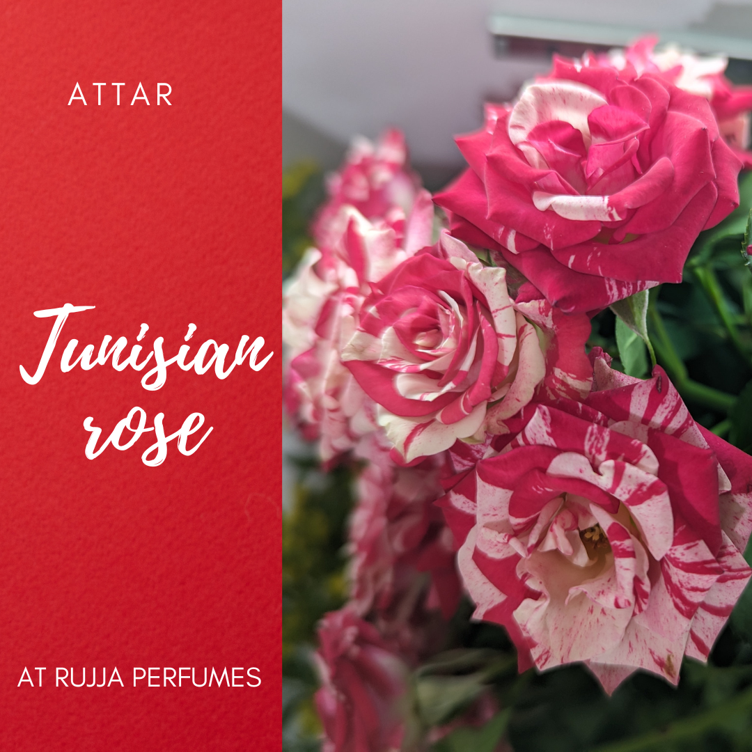Tunisian Rose – AT RUJJA PERFUMES